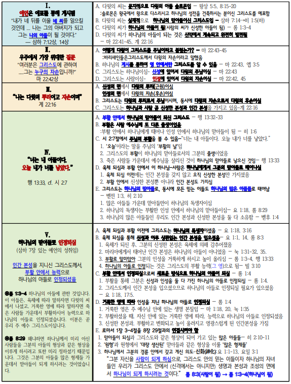성경진리사역원(BTMK) | [2021 겨울훈련] - M8 다윗의 씨가 하나님의 아들이 됨